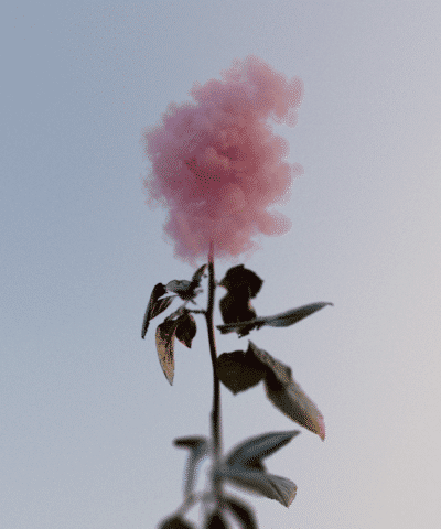 Contemporary Artist David Stenbeck Shares His Story, Inspirations and ...