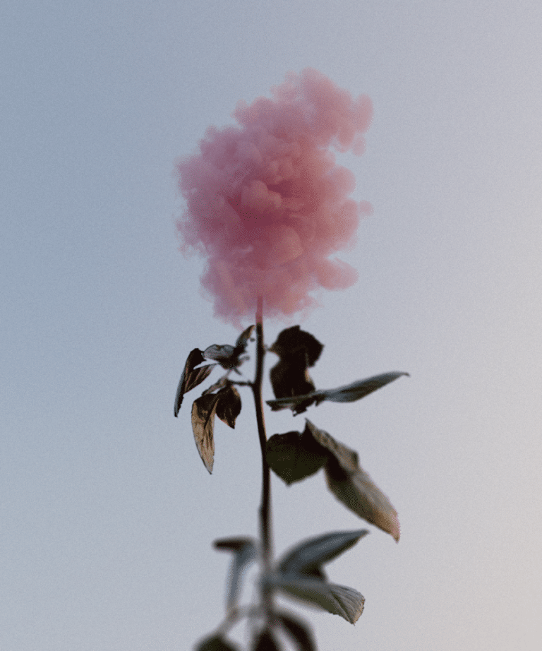 Contemporary Artist David Stenbeck Shares His Story, Inspirations and ...