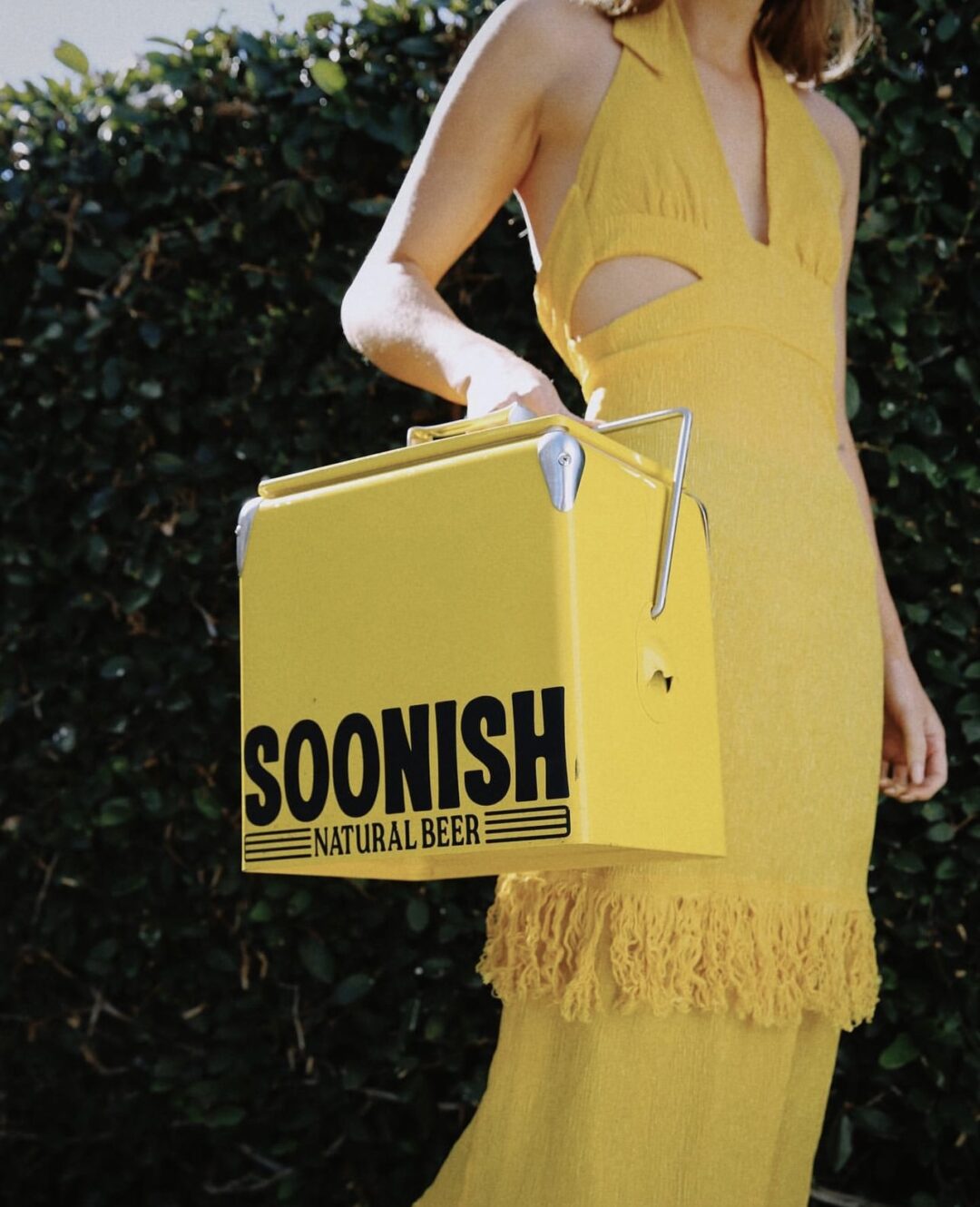 Get To Know The Story Behind Innovative natural beer Soonish and its ...